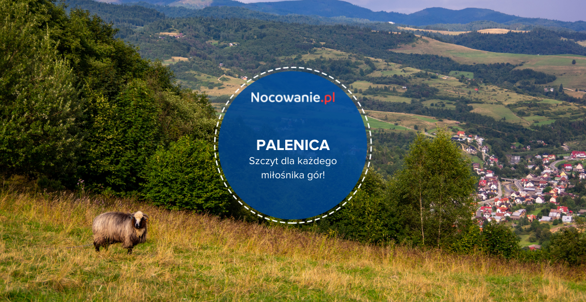 Palenica - szczyt dla każdego miłośnika gór